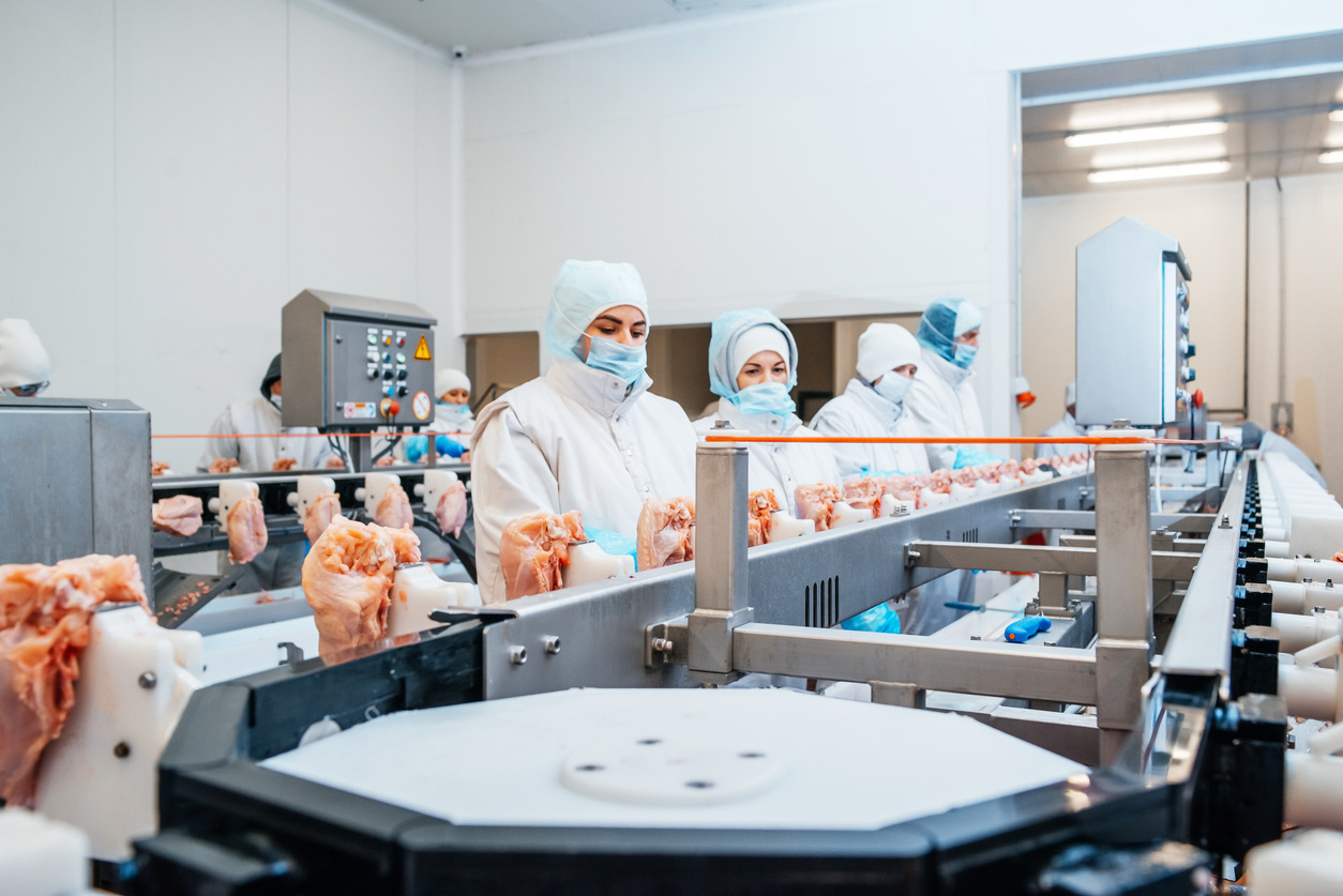 Food Processing Blades | Hyde IBS